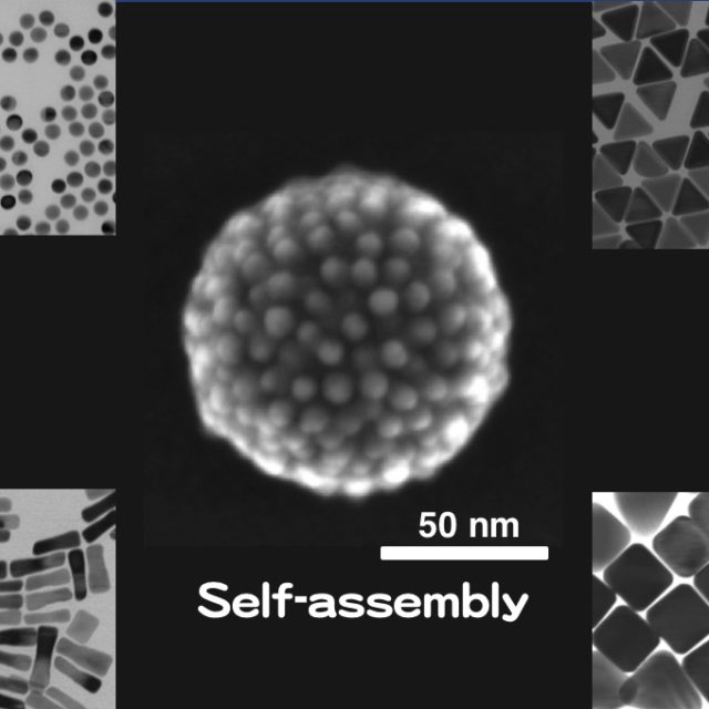 Course Outline – Division of Soft Matter, Graduate School of Life ...