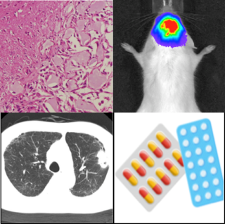 Course Outline – Division of Soft Matter, Graduate School of Life ...